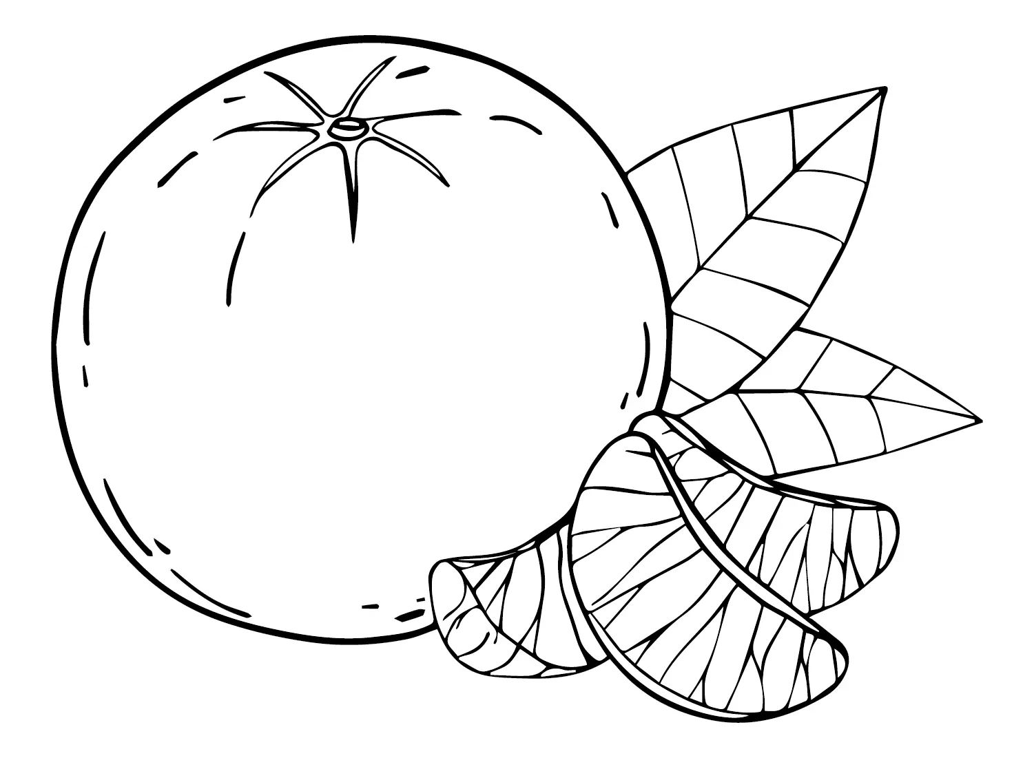 Okul Öncesi Herşey