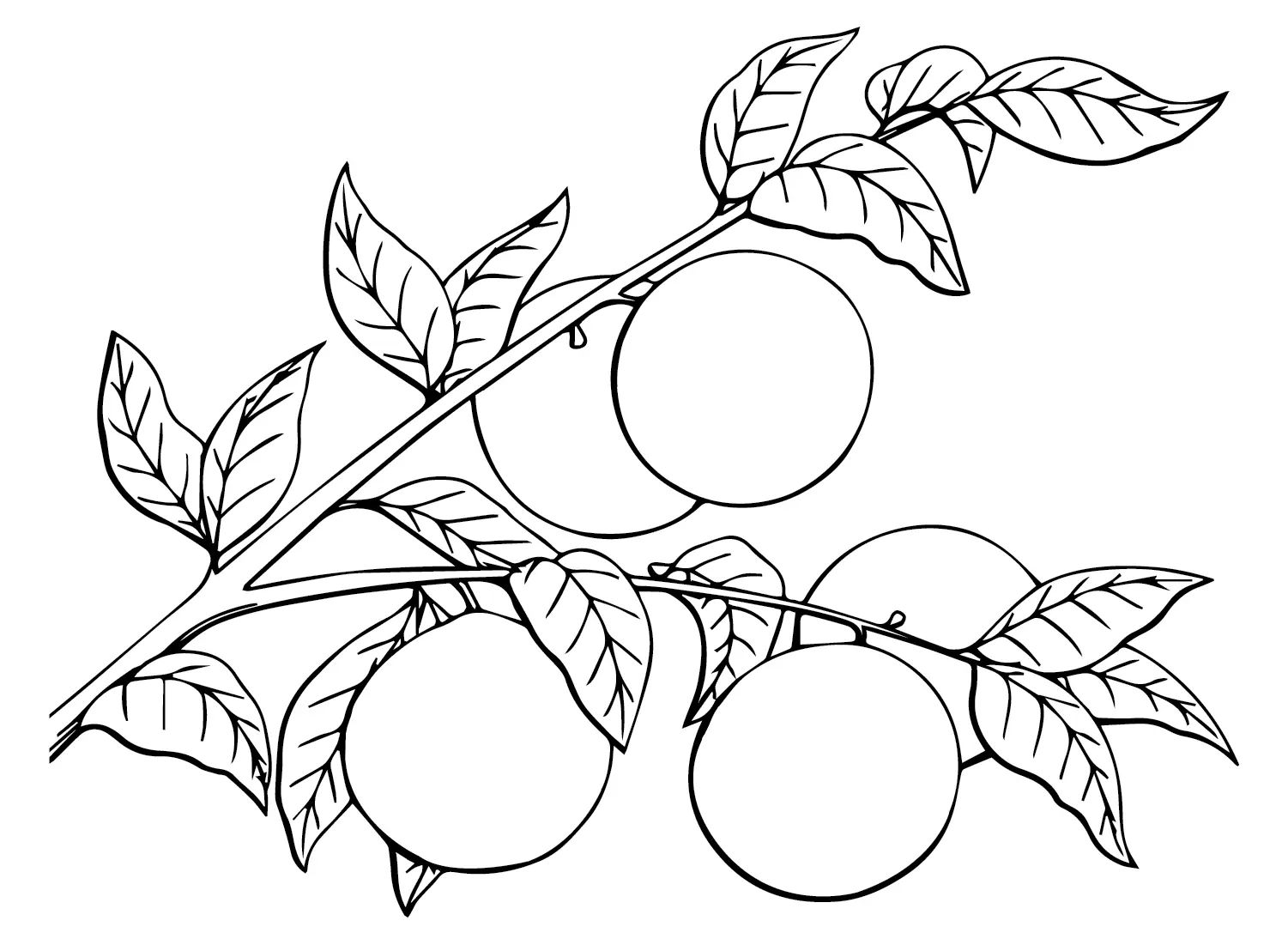 Okul Öncesi Herşey