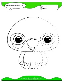 Simetrisini Çiz