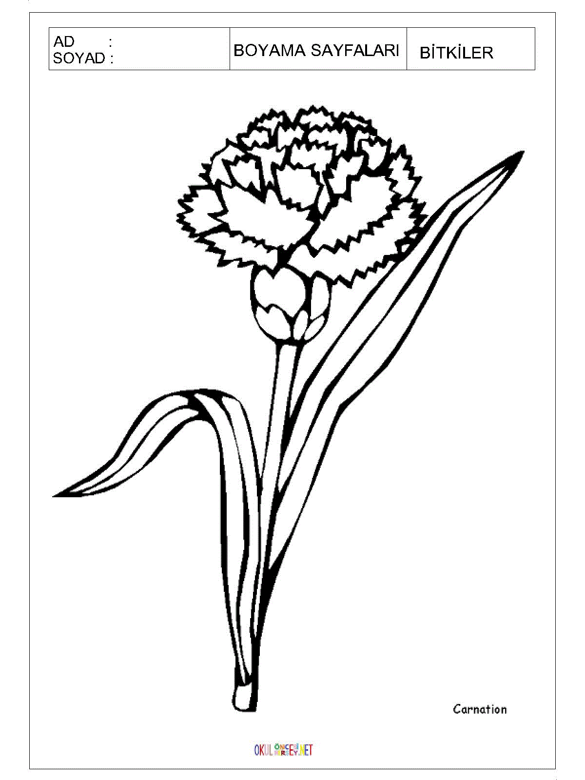 BİTKİLER-BOYAMA SAYFALARI-OKUL ÖNCESİ HERŞEY