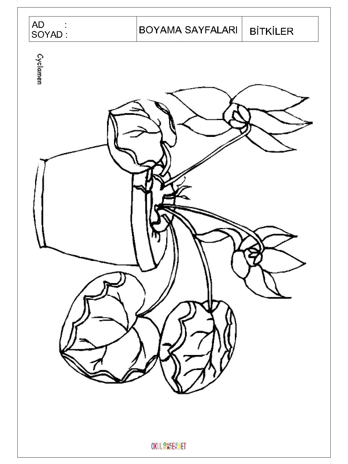 BİTKİLER-BOYAMA SAYFALARI-OKUL ÖNCESİ HERŞEY