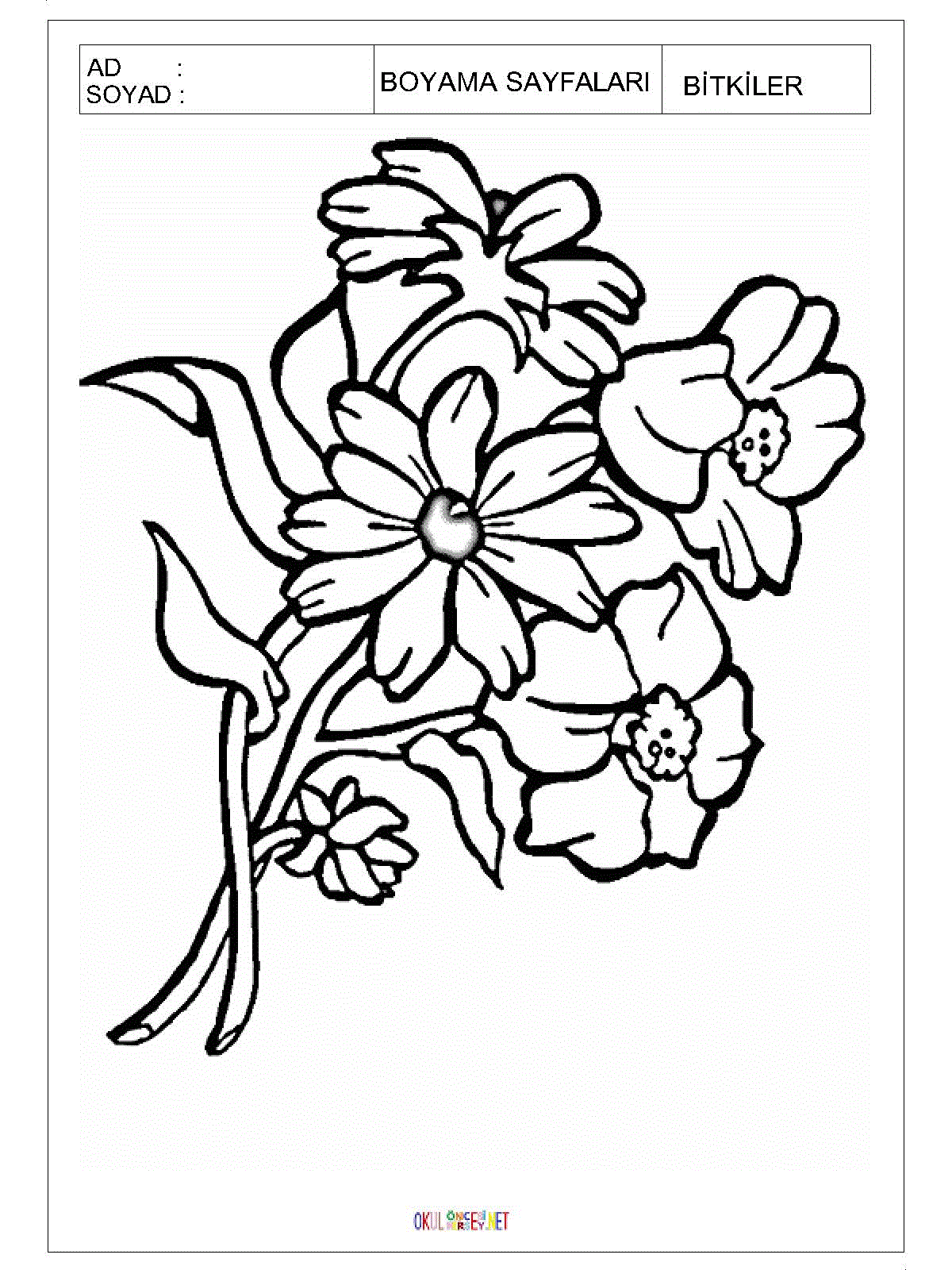 BİTKİLER-BOYAMA SAYFALARI-OKUL ÖNCESİ HERŞEY