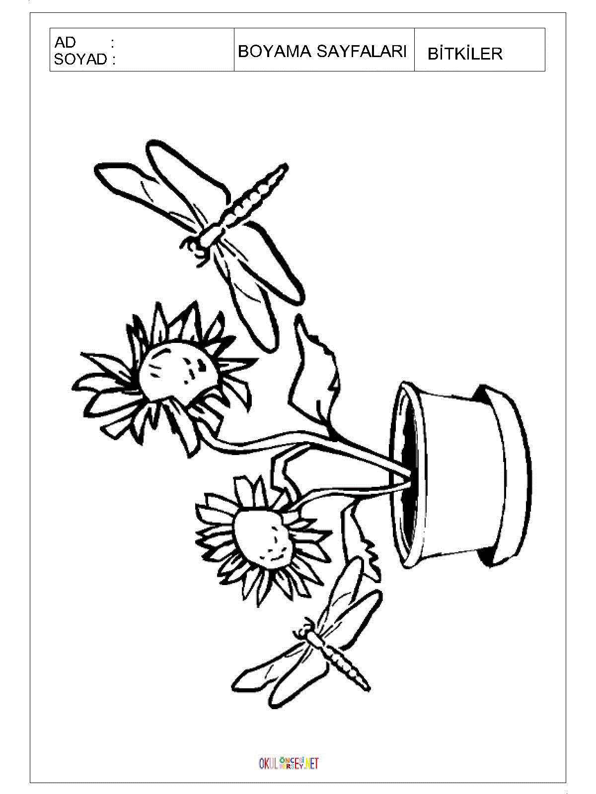 BİTKİLER-BOYAMA SAYFALARI-OKUL ÖNCESİ HERŞEY