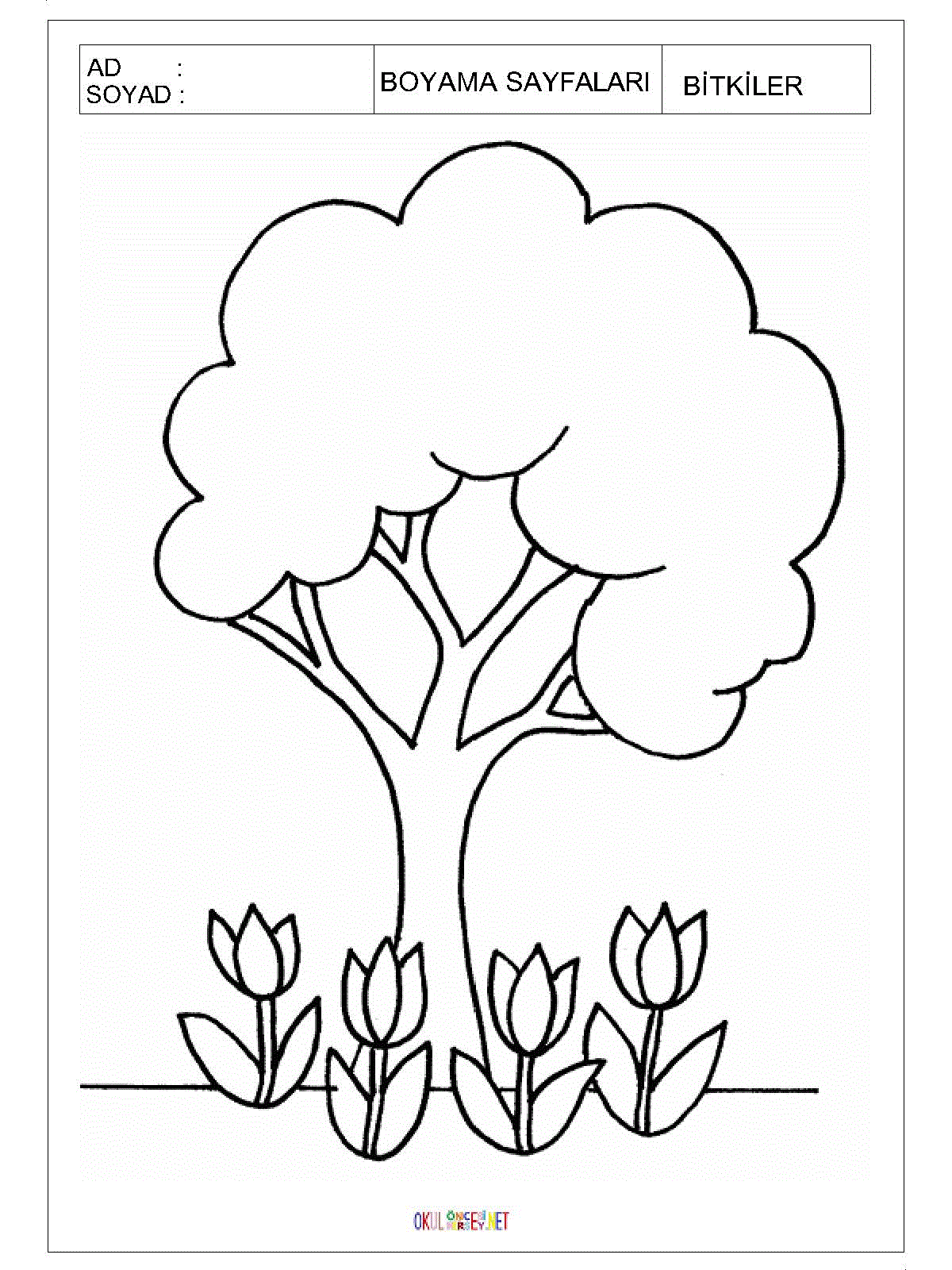 BİTKİLER-BOYAMA SAYFALARI-OKUL ÖNCESİ HERŞEY