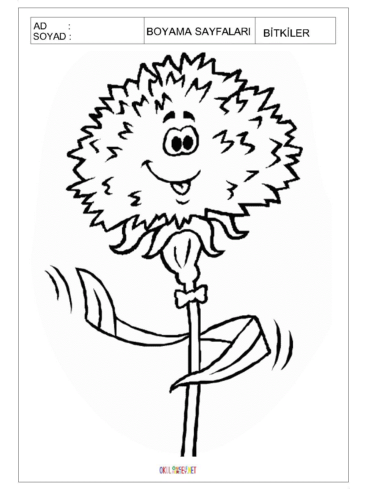 BİTKİLER-BOYAMA SAYFALARI-OKUL ÖNCESİ HERŞEY