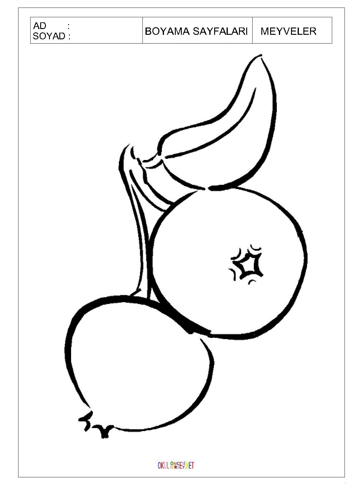 MEYVE-BOYAMA SAYFALARI-OKUL ÖNCESİ HERŞEY