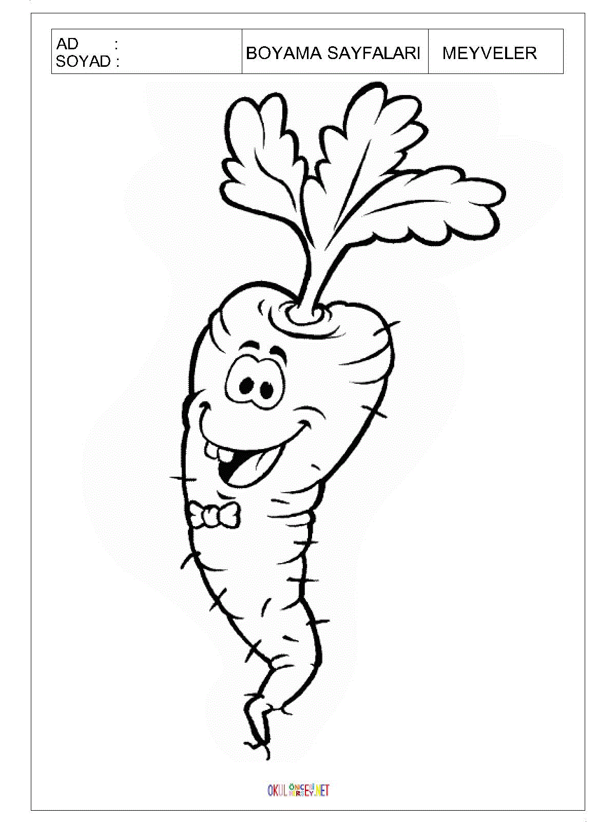 MEYVE-BOYAMA SAYFALARI-OKUL ÖNCESİ HERŞEY