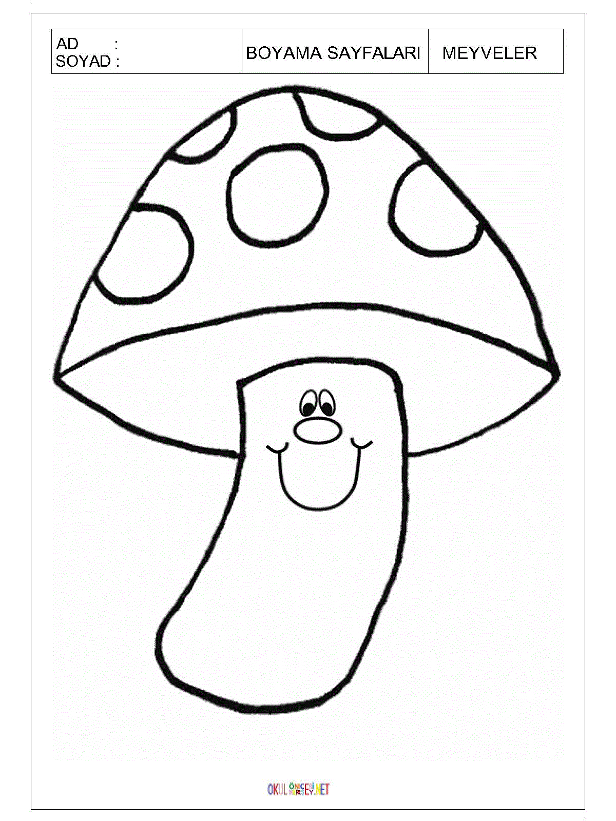 MEYVE-BOYAMA SAYFALARI-OKUL ÖNCESİ HERŞEY