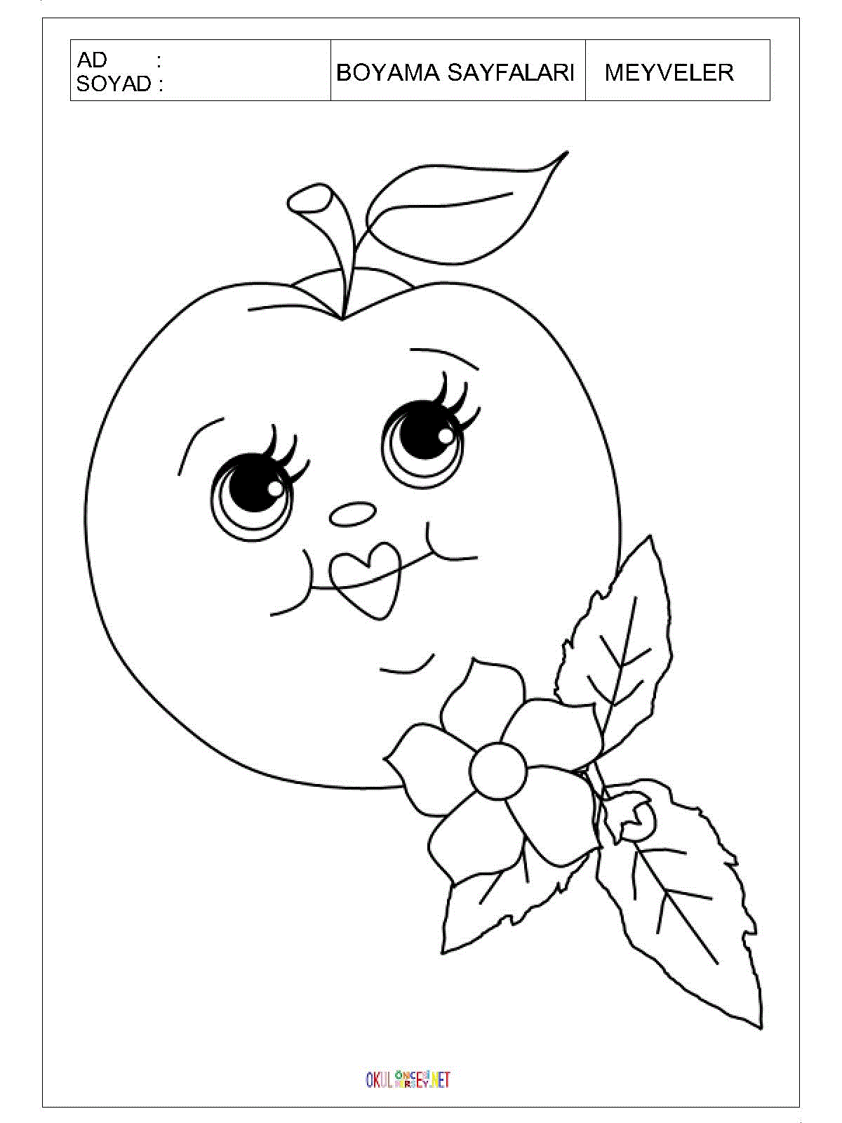 MEYVE-BOYAMA SAYFALARI-OKUL ÖNCESİ HERŞEY