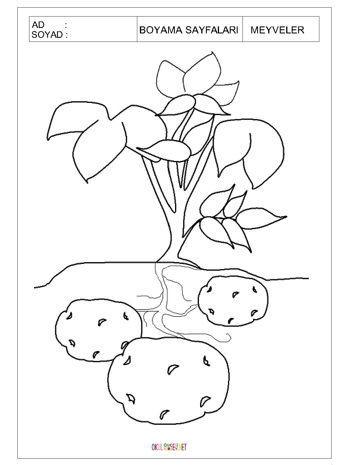 MEYVE-BOYAMA SAYFALARI-OKUL ÖNCESİ HERŞEY