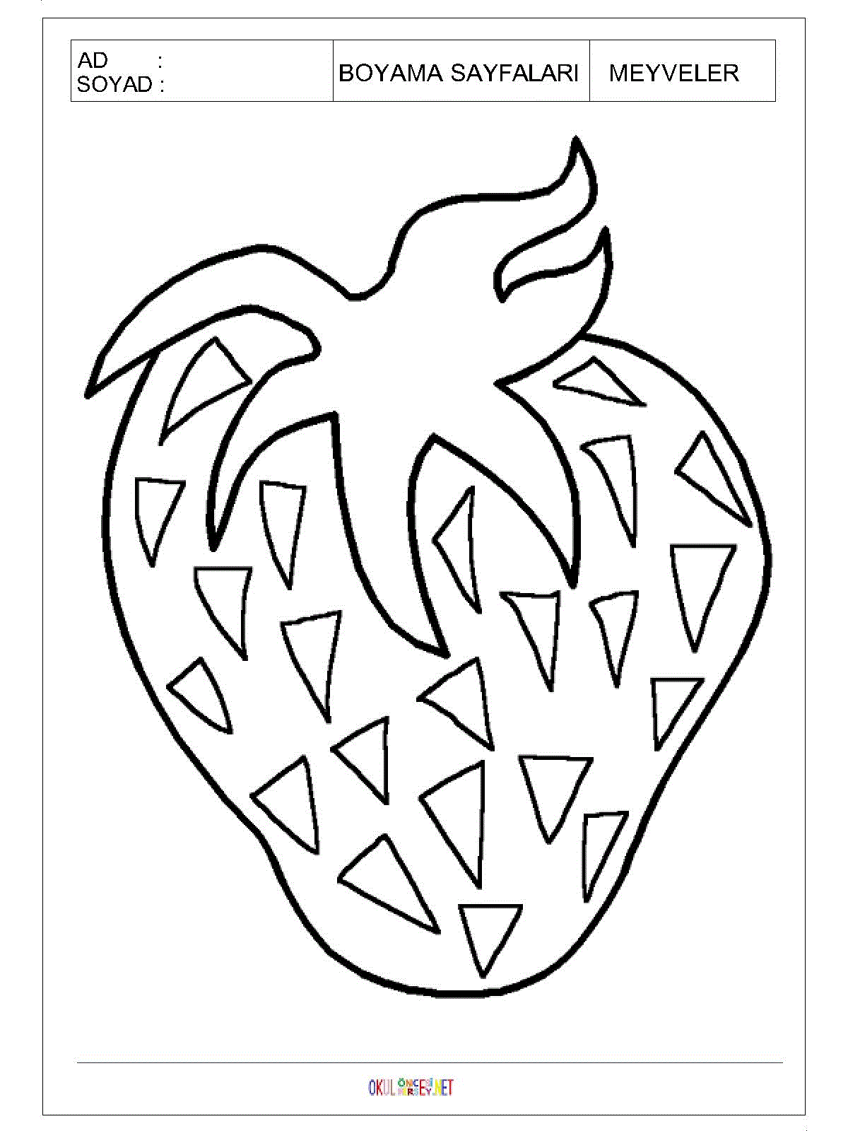 MEYVE-BOYAMA SAYFALARI-OKUL ÖNCESİ HERŞEY