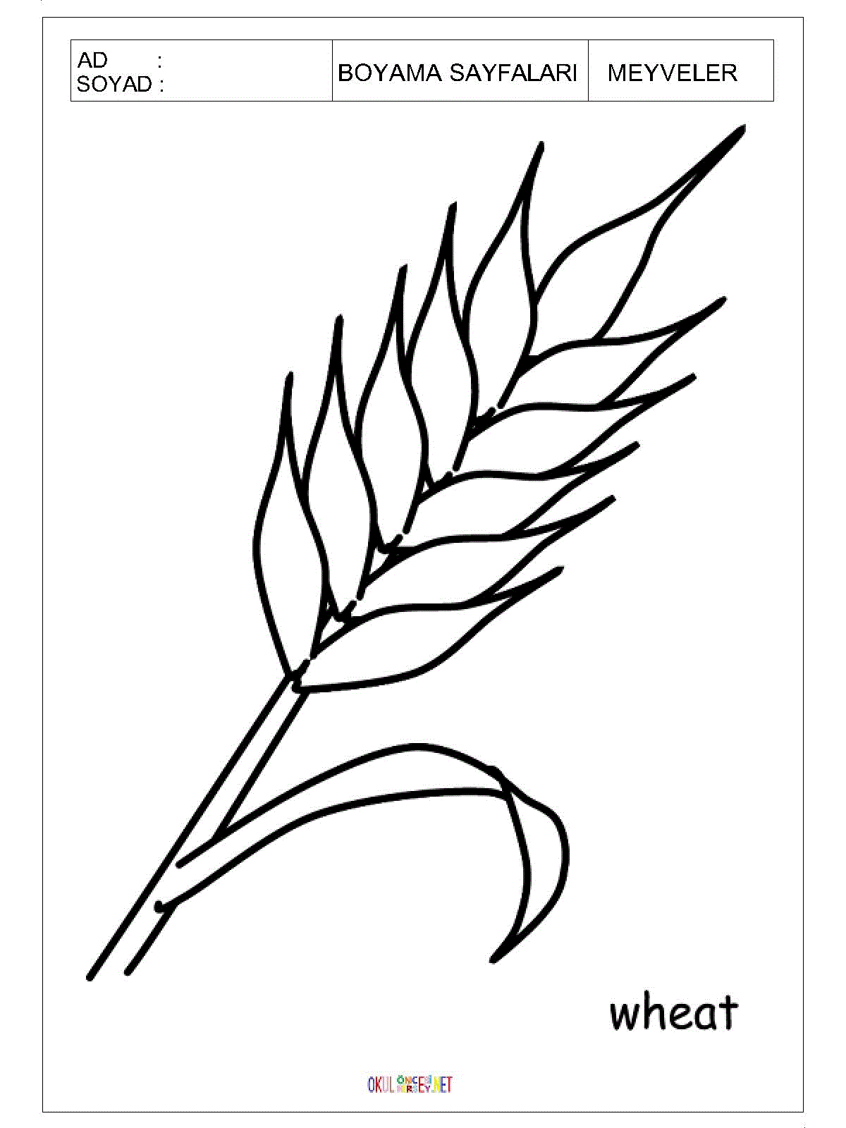 MEYVE-BOYAMA SAYFALARI-OKUL ÖNCESİ HERŞEY