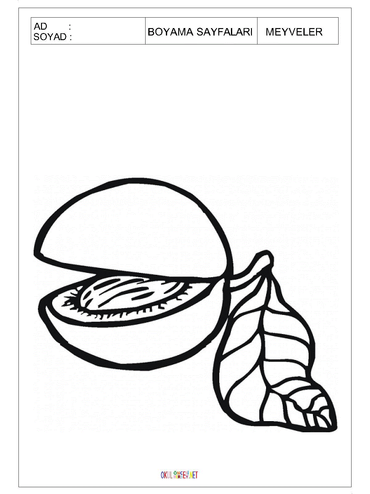MEYVE-BOYAMA SAYFALARI-OKUL ÖNCESİ HERŞEY