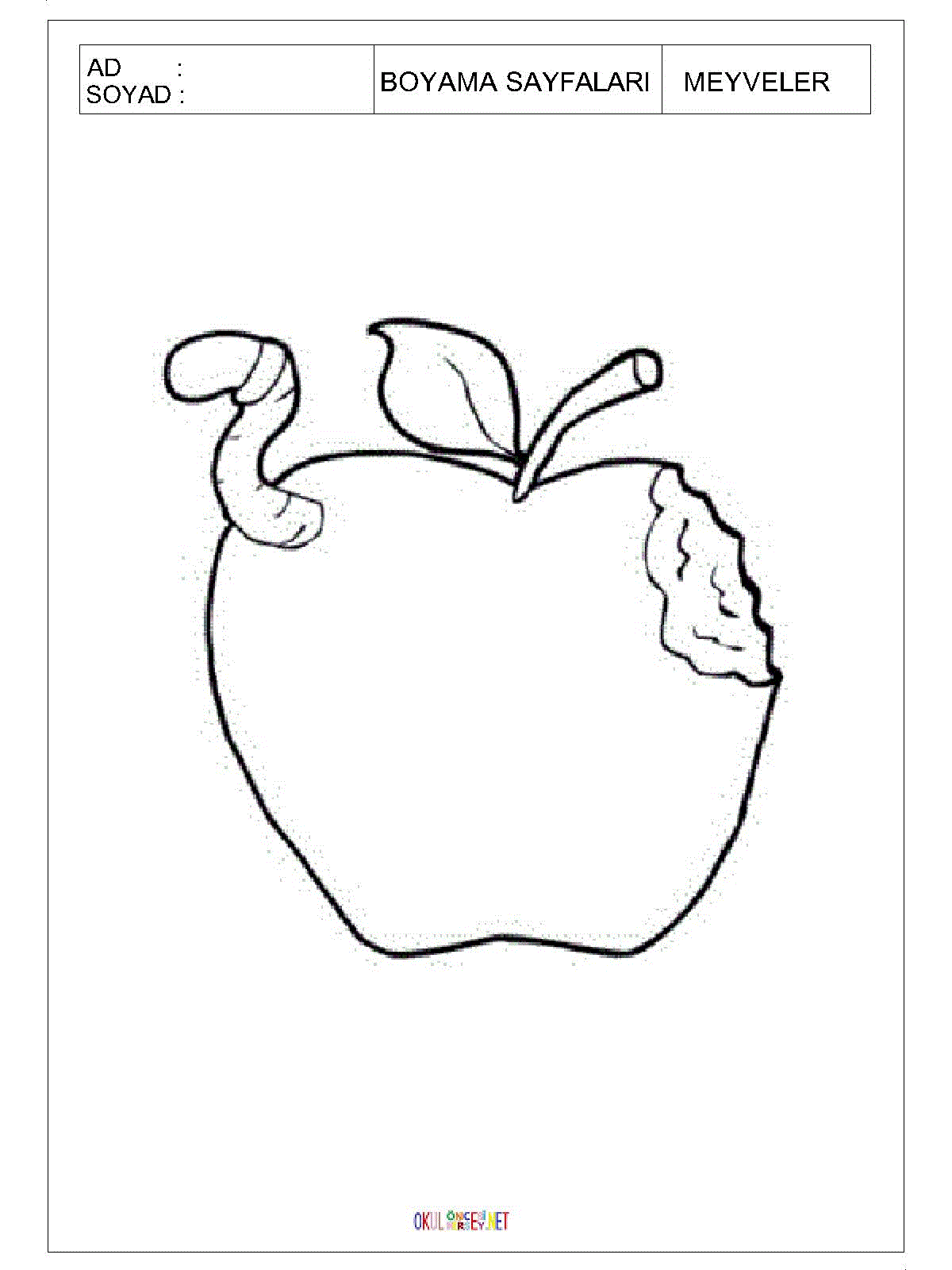 MEYVE-BOYAMA SAYFALARI-OKUL ÖNCESİ HERŞEY