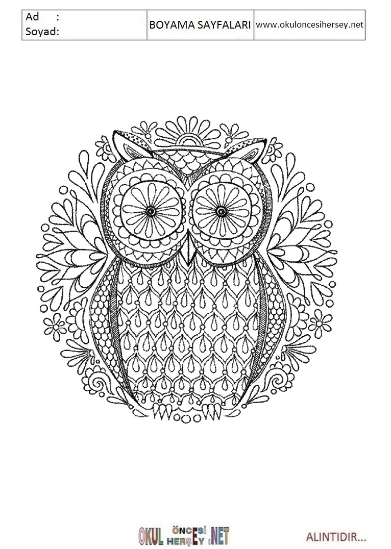 Mandala Boyama Sayfaları