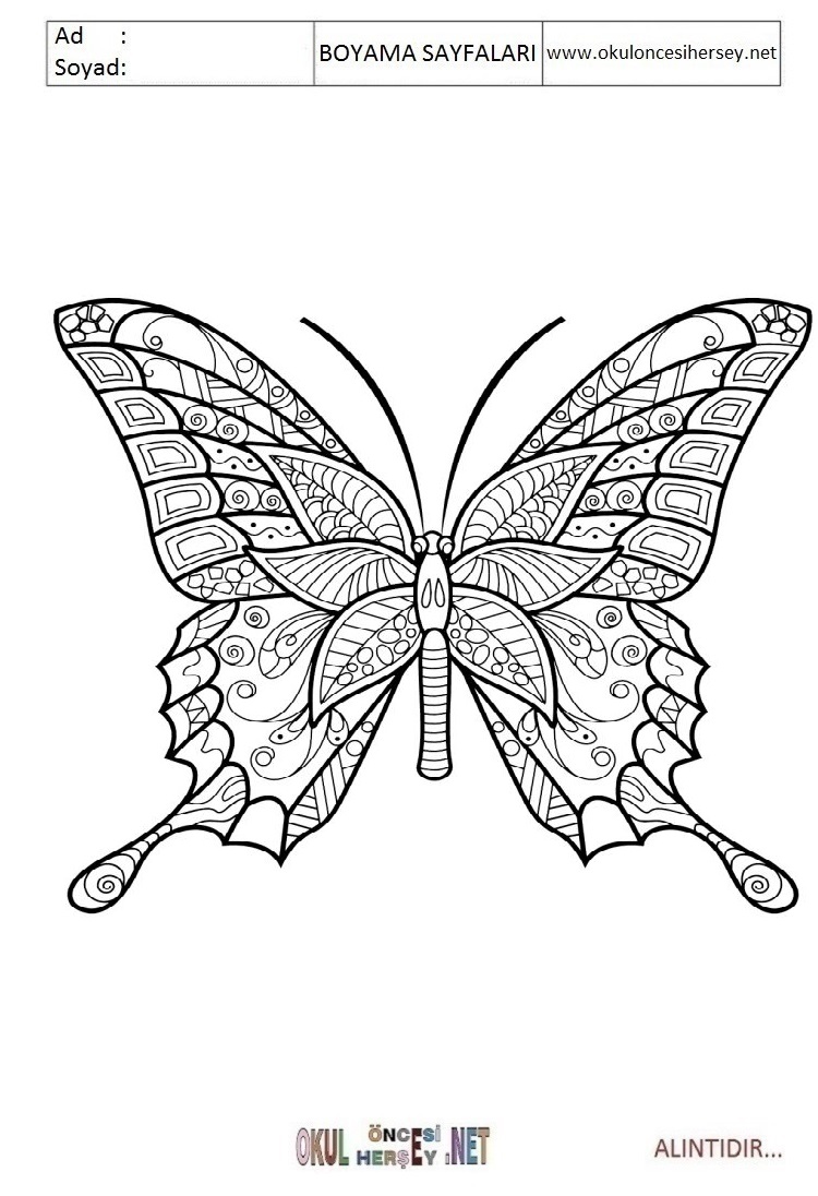 Yetişkin Boyama Sayfaları