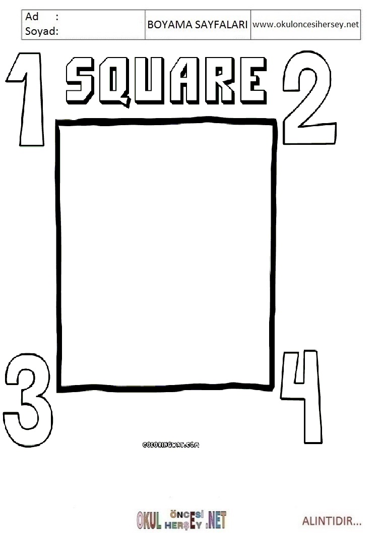 Okul Öncesi Herşey