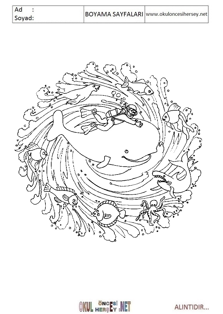 Mandala Boyama Sayfaları