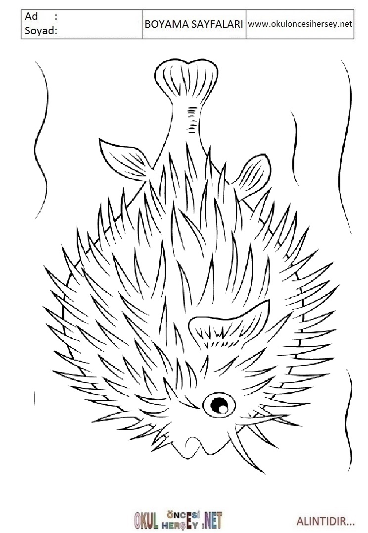 Balon Balığı Boyama Sayfaları