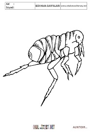 Pire Boyama Sayfaları