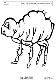 Pire Boyama Sayfaları