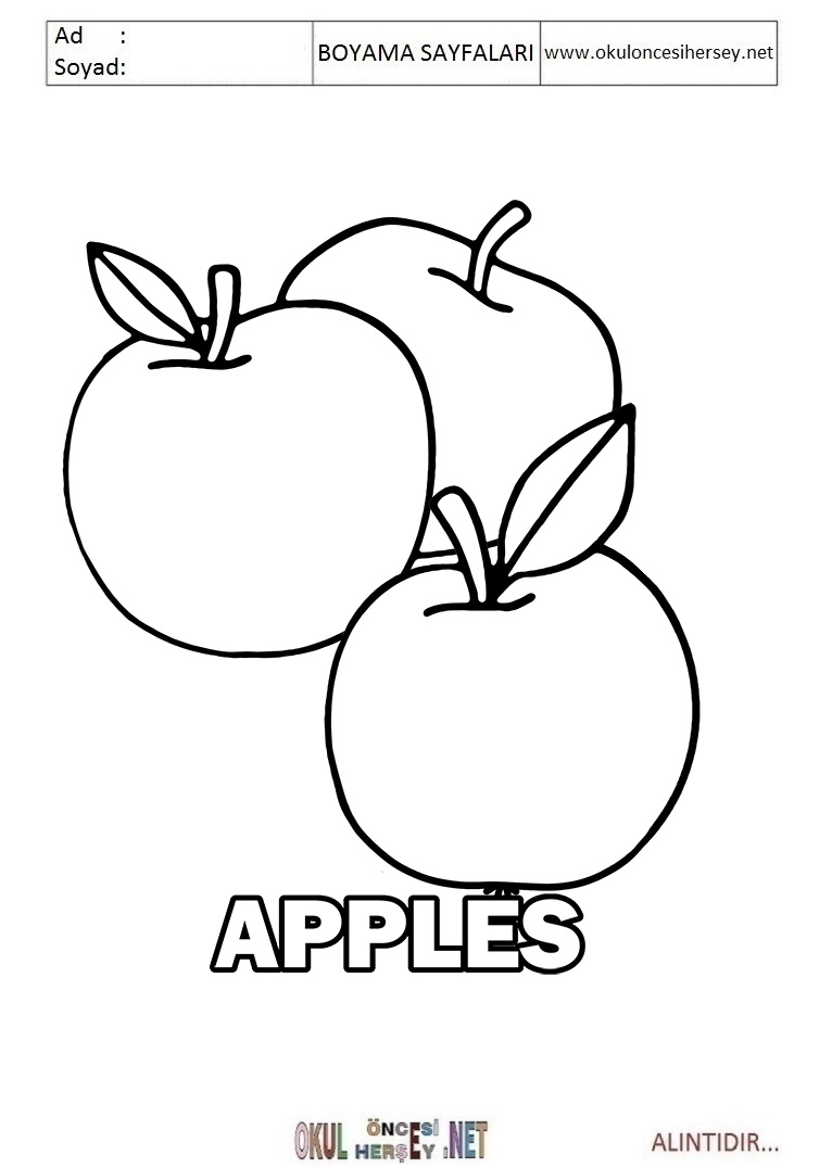 ingilizce-Meyveler Boyama Sayfaları