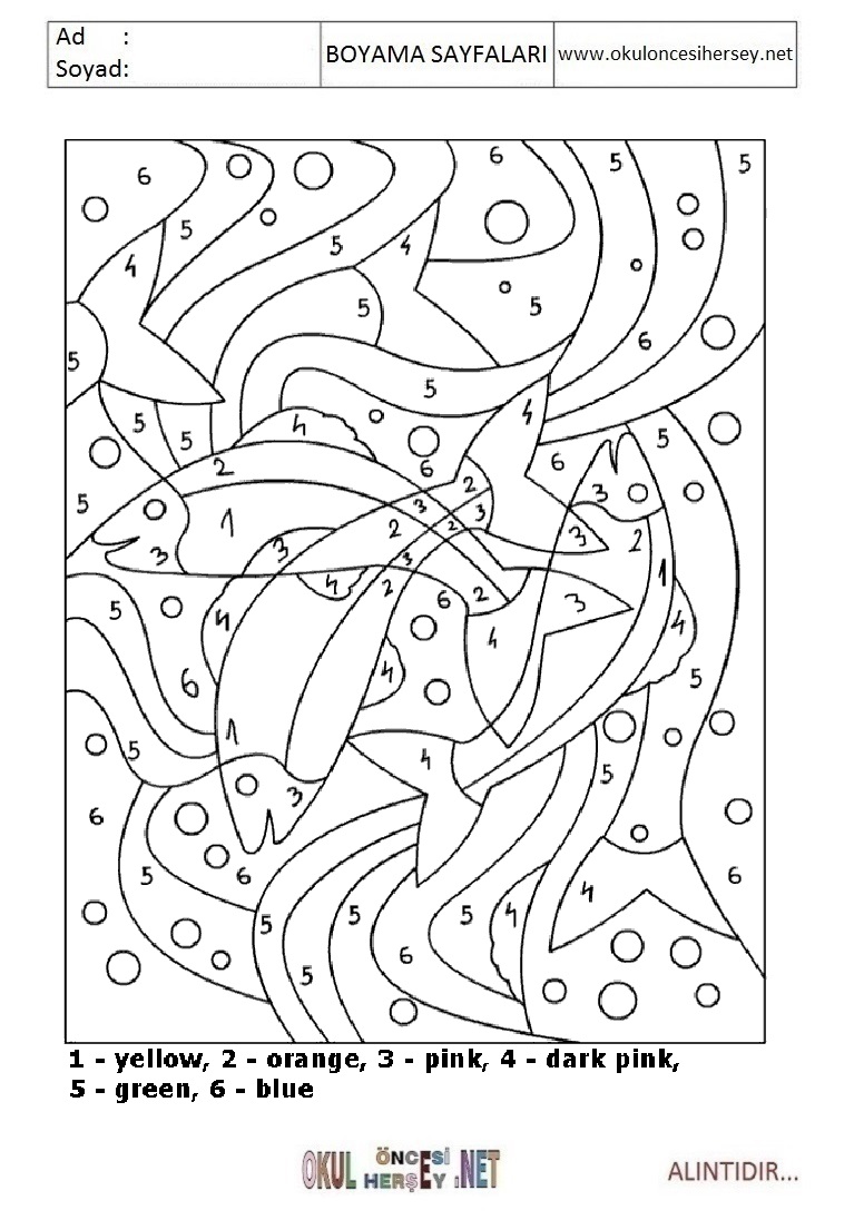 Rakama Göre Boya Boyama Sayfaları