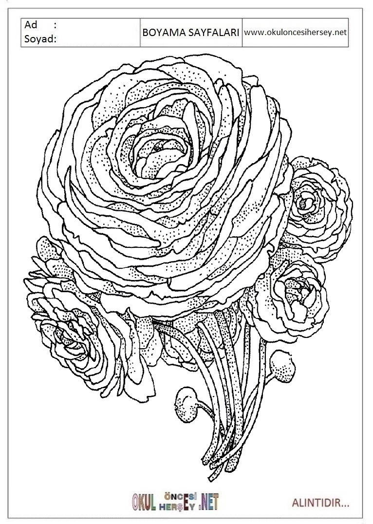 Çiçek Boyama Sayfaları