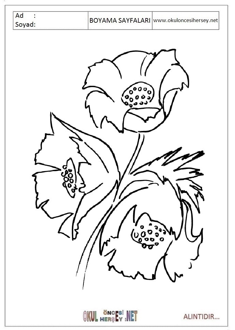 Çiçek Boyama Sayfaları