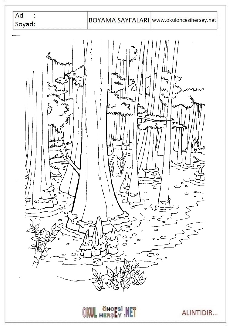 Manzara Boyama Sayfaları