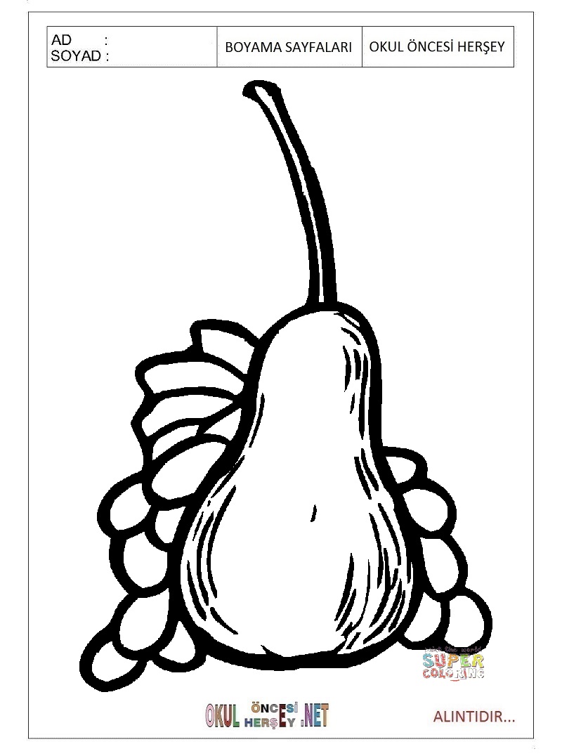 Okul Öncesi Herşey