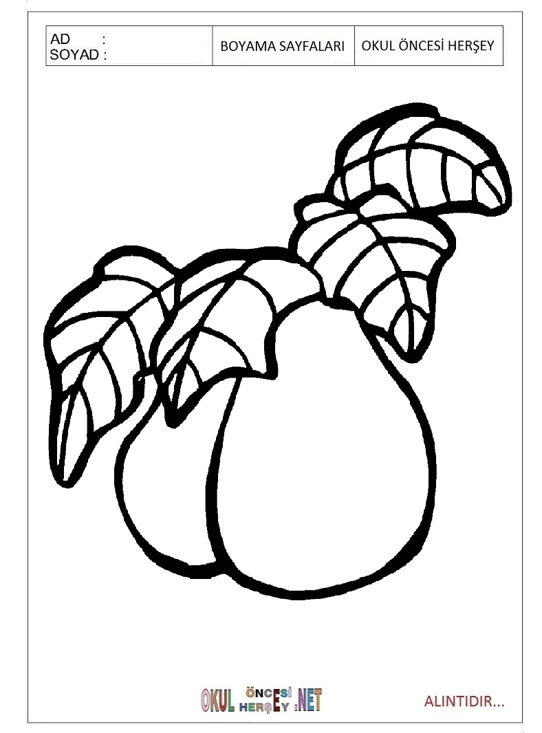 Okul Öncesi Herşey