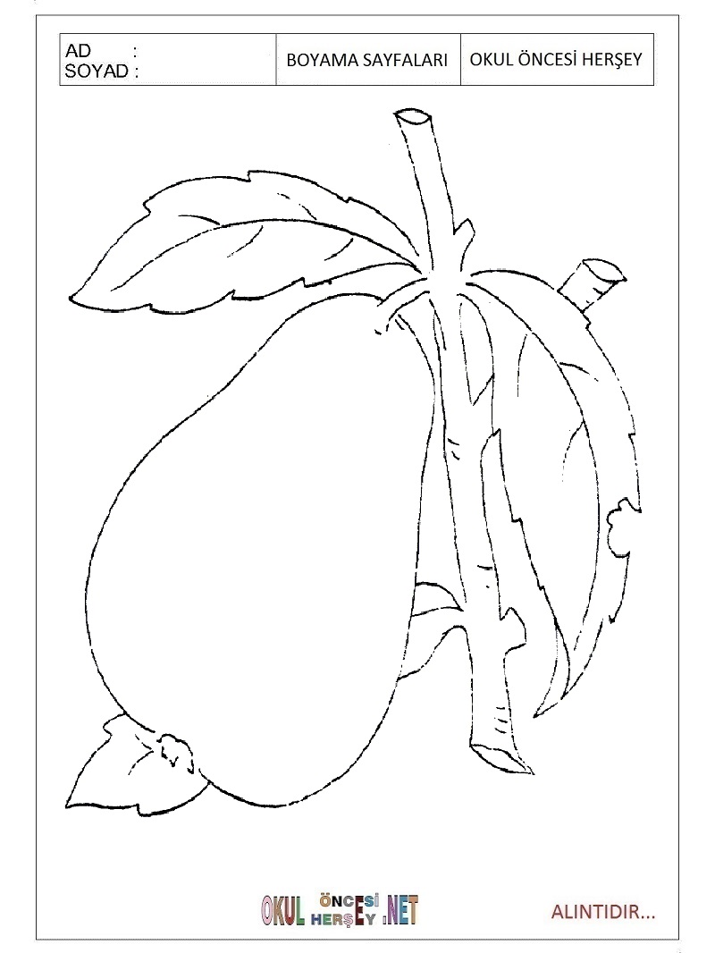 Armut Boyama Sayfaları
