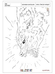 Çakal Boyama Sayfaları