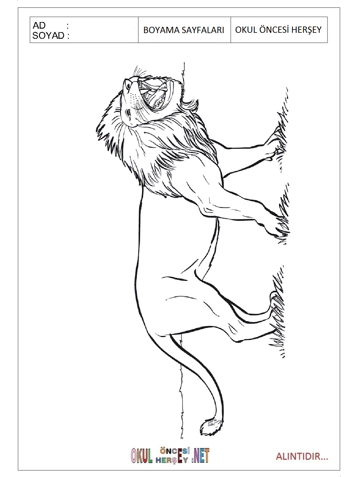 Aslan Boyama Sayfaları