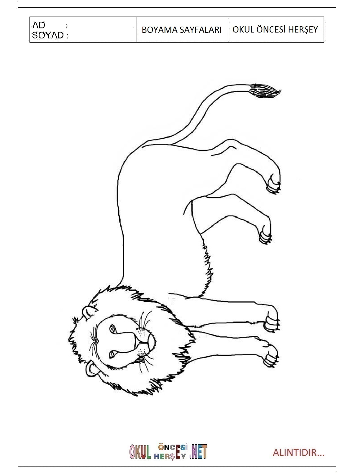 Aslan Boyama Sayfaları