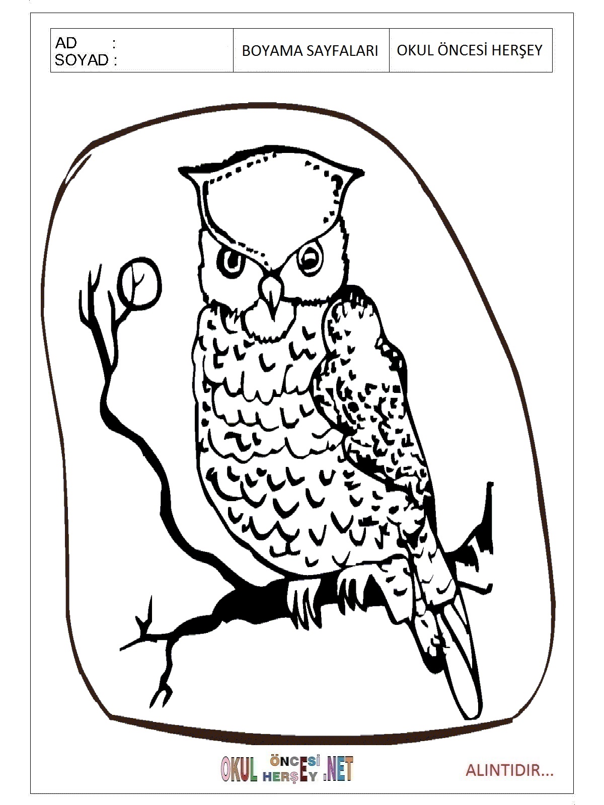 Baykuş Boyama Sayfaları