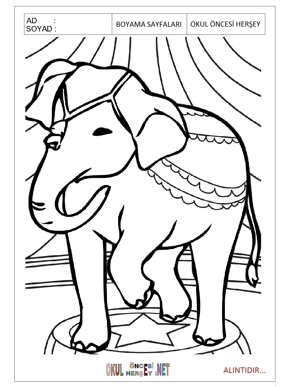Fil Boyama Sayfaları