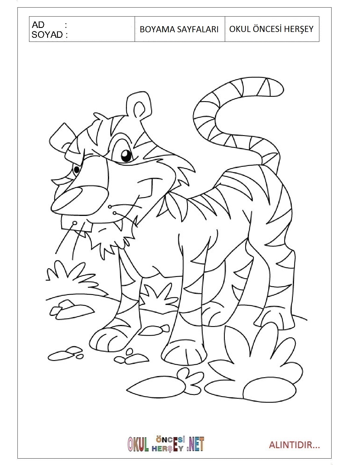 Kaplan Boyama Sayfaları