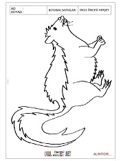 Kokarca Boyama Sayfaları