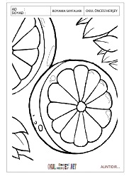 Portakal Boyama Sayfaları