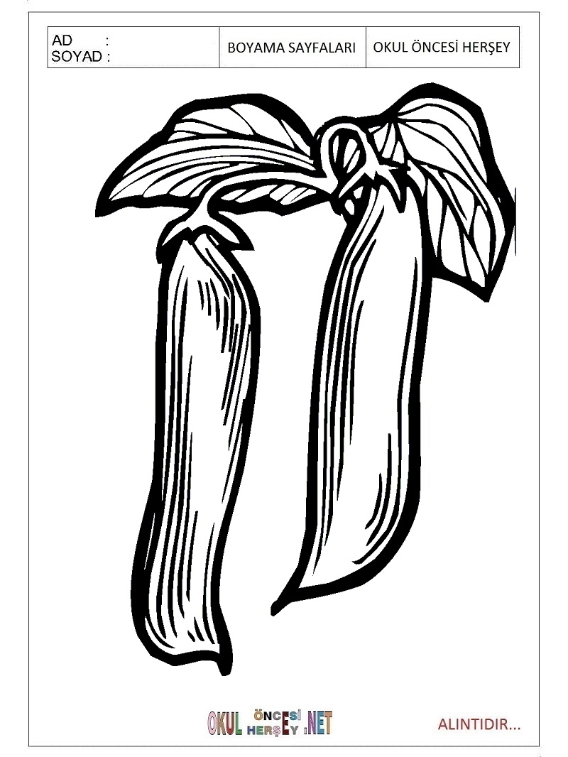 Okul Öncesi Herşey