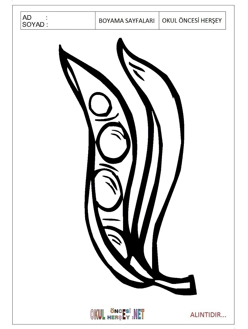 Okul Öncesi Herşey