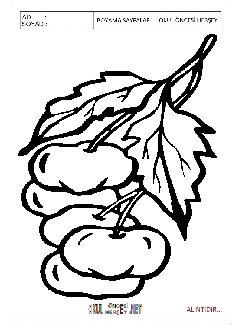 Domatesboyamasayfalari