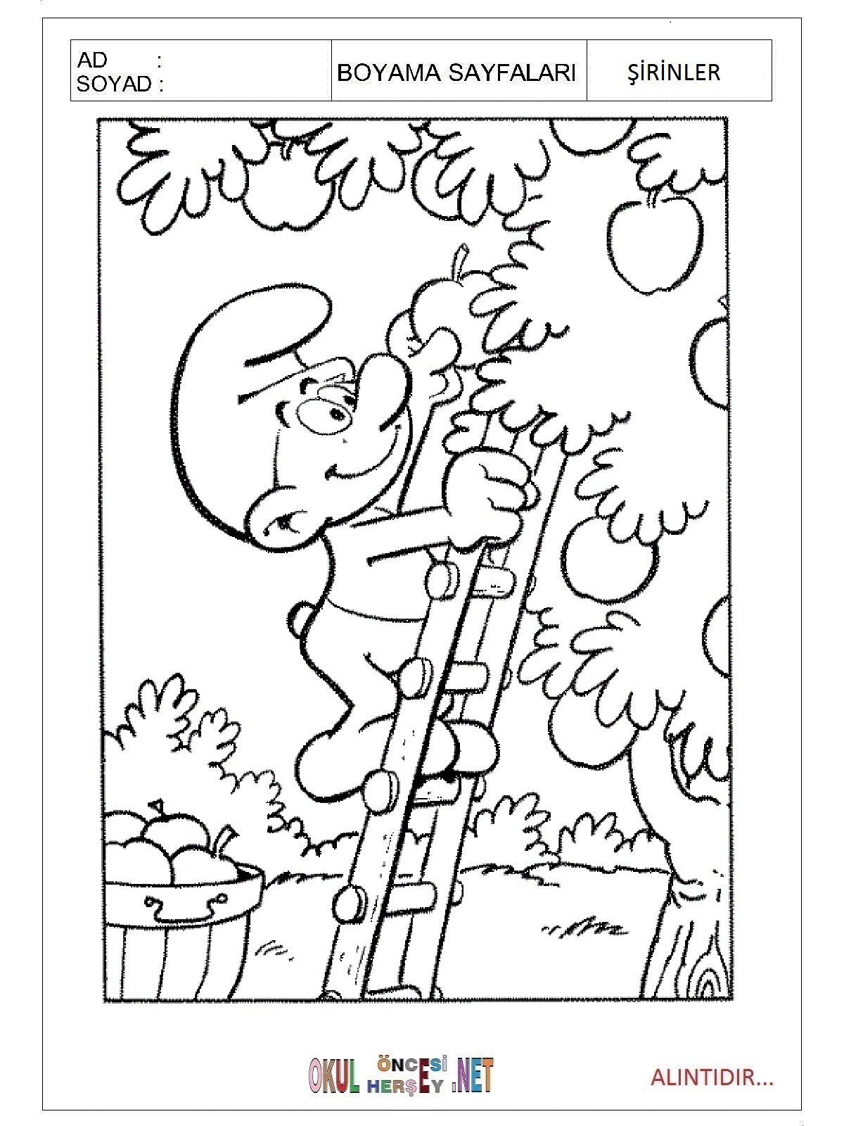 Okul Öncesi Herşey